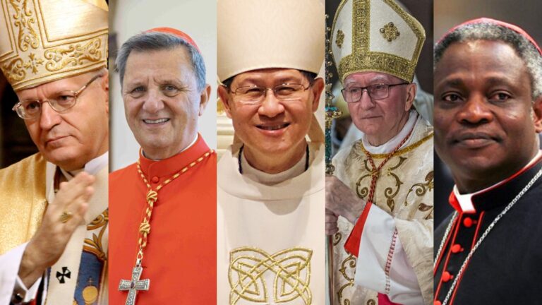 From Africa to Asia, potential successors to Pope Francis reflect a ...