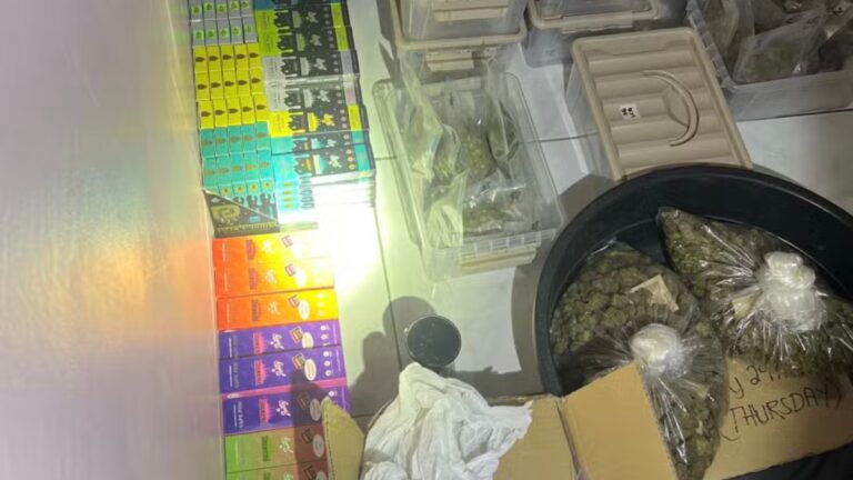 P23 million worth of drugs seized from delivery hub disguised as home ...